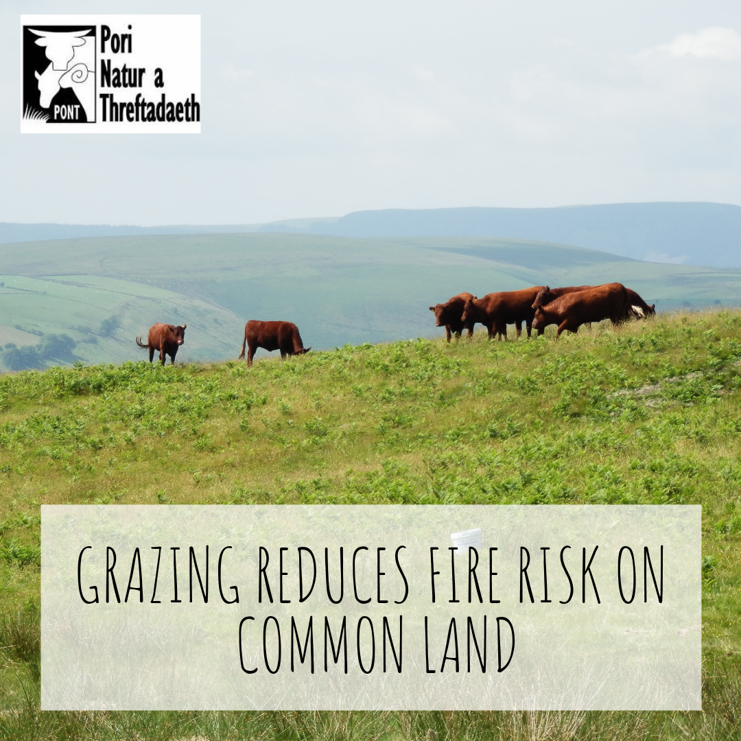 Grazing Facts; Grazing Reduces Fire Risk | PONT