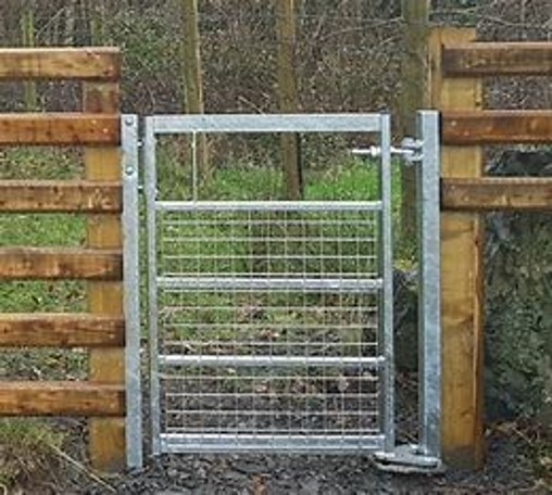 Highlights from the first year of the Dolau Dyfi Project | PONT